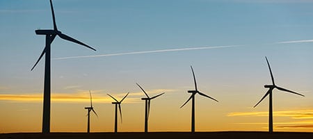 Analytical Services - Megaputer Intelligence