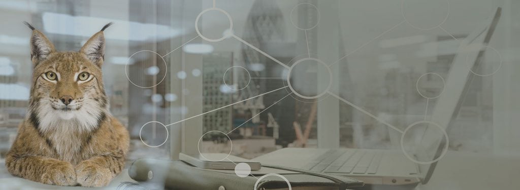 PolyAnalyst Pro Software - Megaputer Intelligence