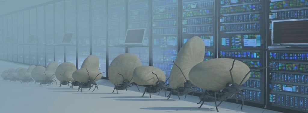 Solution Hosting Services - Megaputer Intelligence