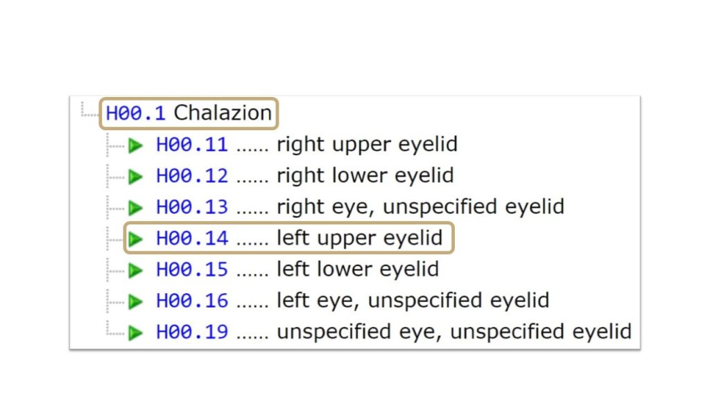 Medical Ontology and Its Use in Text Analysis - Megaputer Intelligence