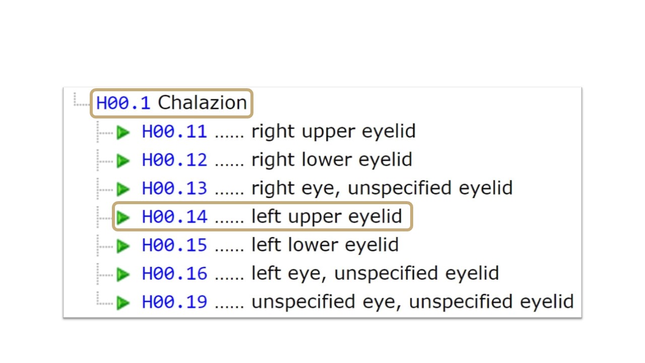 Medical Ontology and Its Use in Text Analysis - Megaputer Intelligence