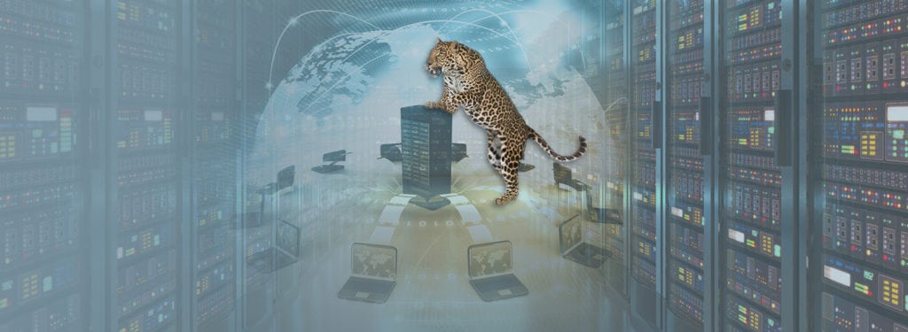 PA Grid - Megaputer Intelligence