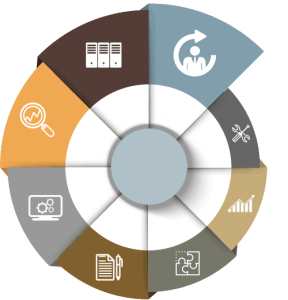 PolyAnalyst Pro Software - Megaputer Intelligence